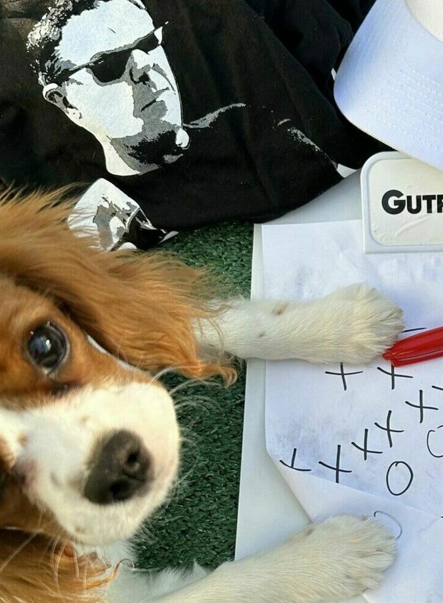 Greg Gutfeld - King Of Late Night | Official Site